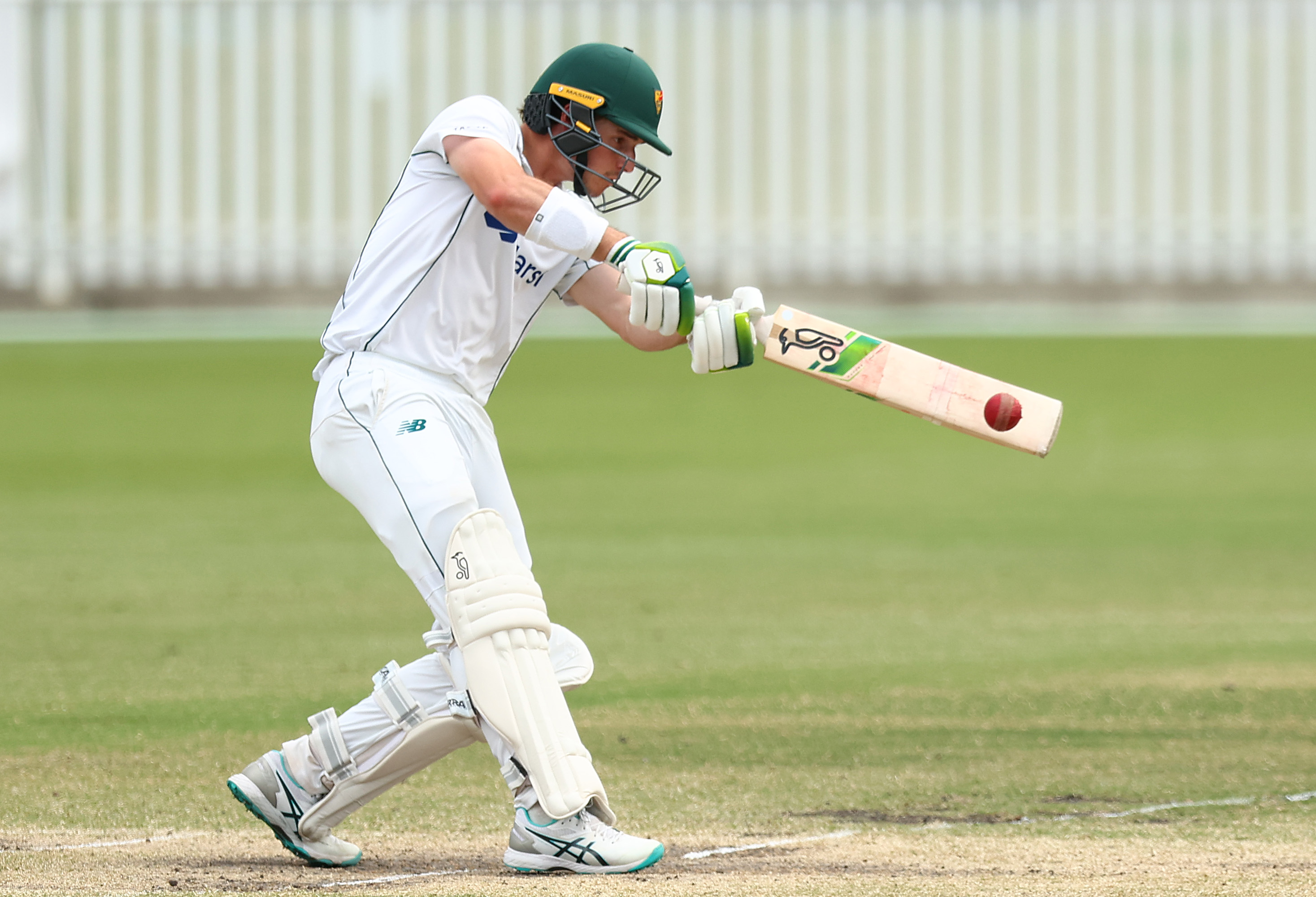 Tigers secure draw in Victoria | Cricket Tasmania