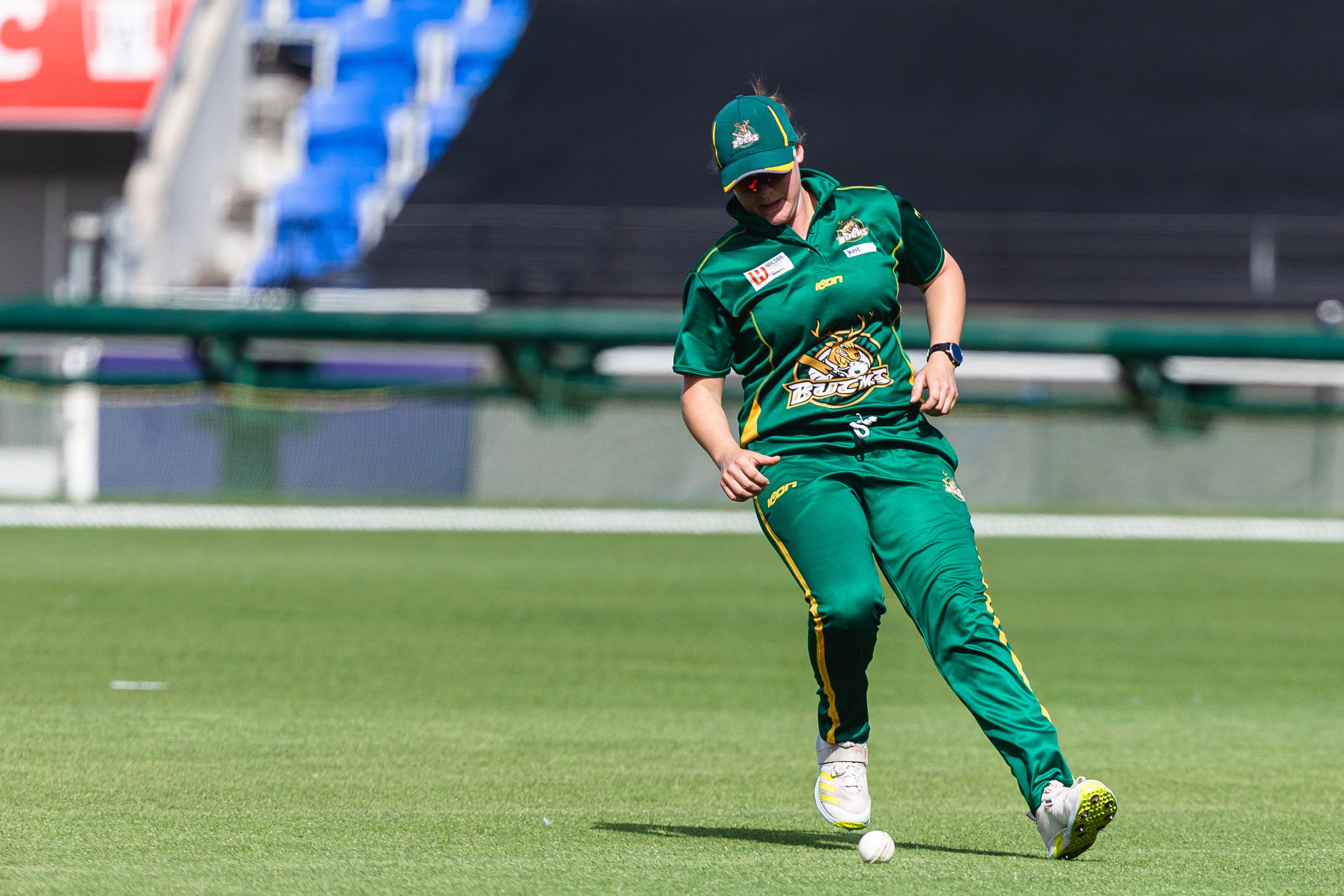 New Town chase victory away from home | Cricket Tasmania