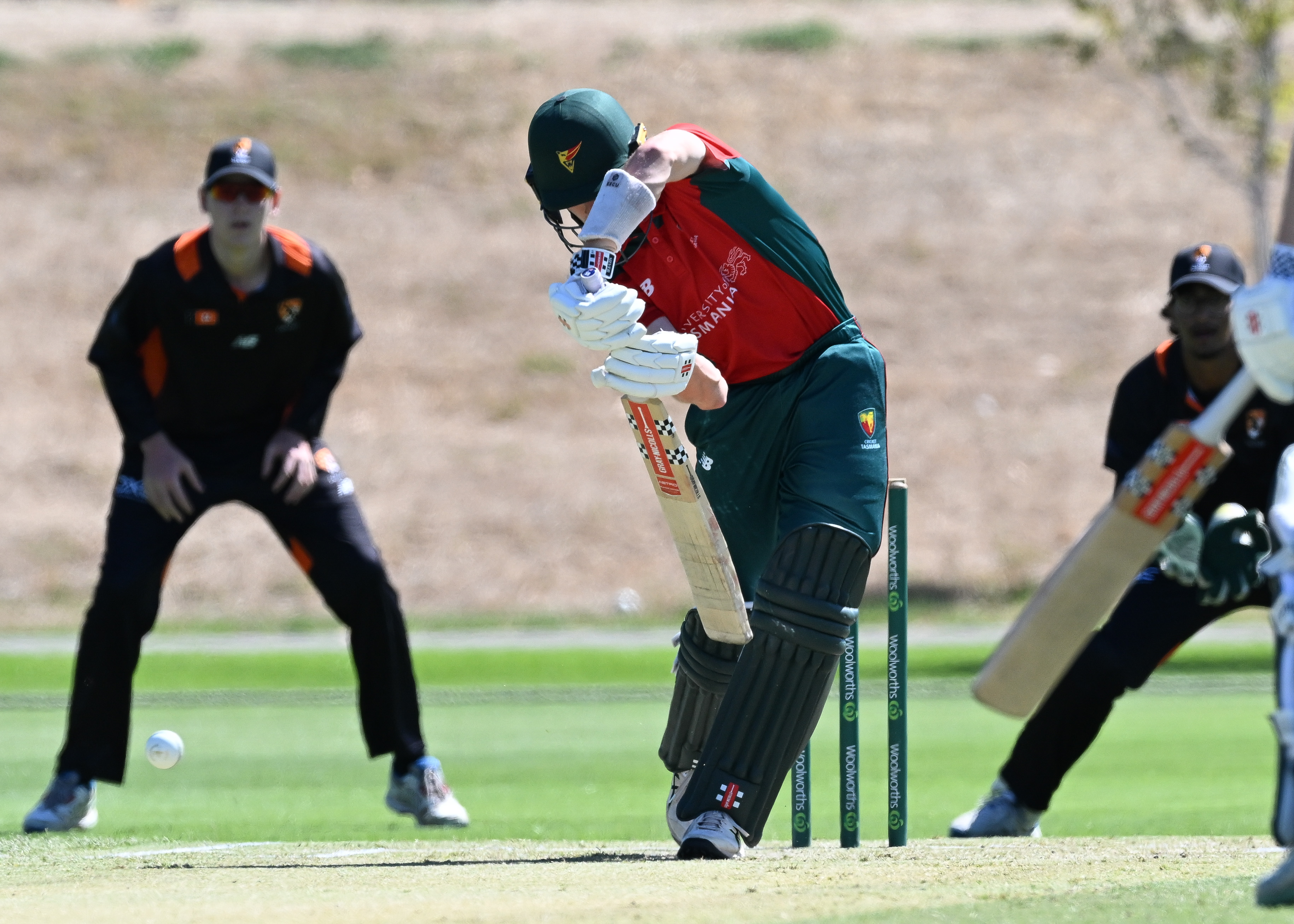 Tasmania Announces Australian Country Cricket Championship Squad ...